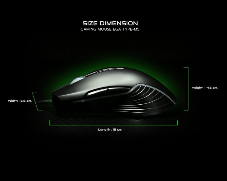 TYPE M5 - EGA ZONE