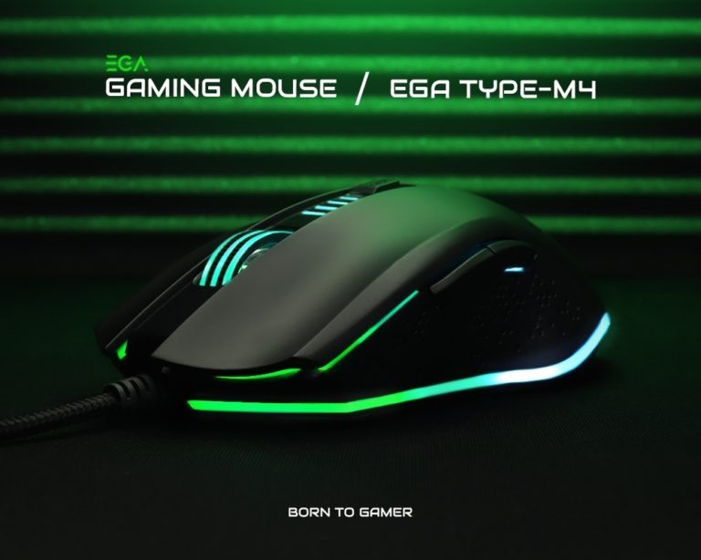 TYPE M4 - EGA ZONE